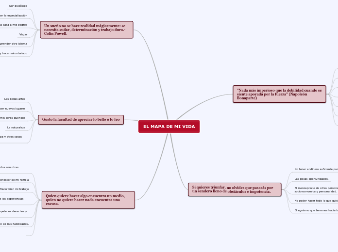 EL MAPA DE MI VIDA - Mind Map