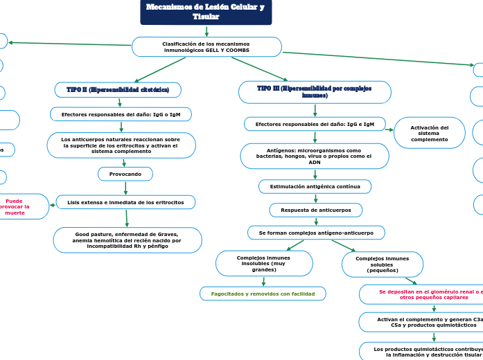 Mecanismos de Lesión Celular y Tisular - Mind Map