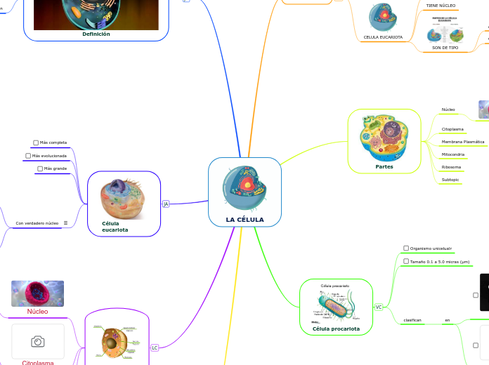 LA CÉLULA - Mind Map