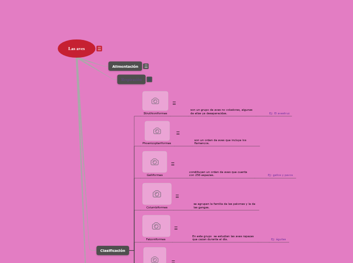Las aves - Mind Map