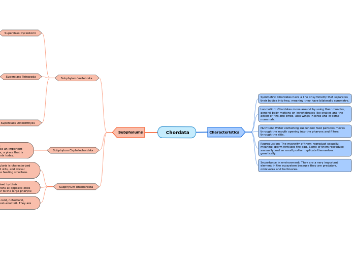 Chordata - Mind Map
