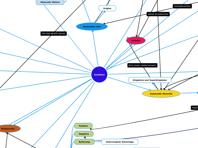 Evolution - Mind Map
