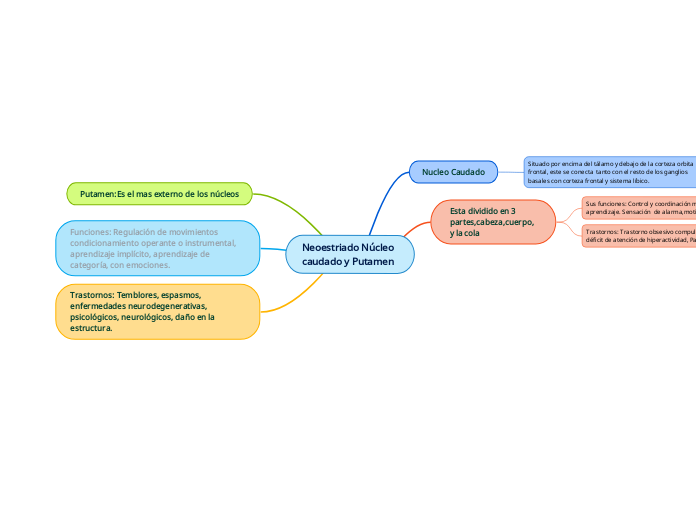 Neoestriado Núcleo caudado y Putamen - Mind Map