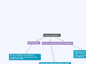 La Argumentacion. - Concept Map