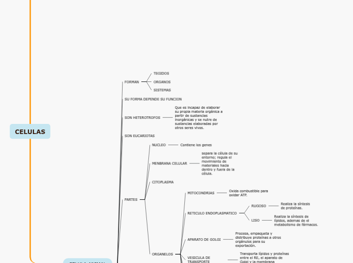 CELULAS - Mind Map