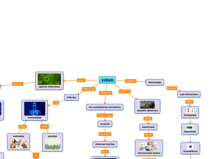 VIRUS - Mind Map
