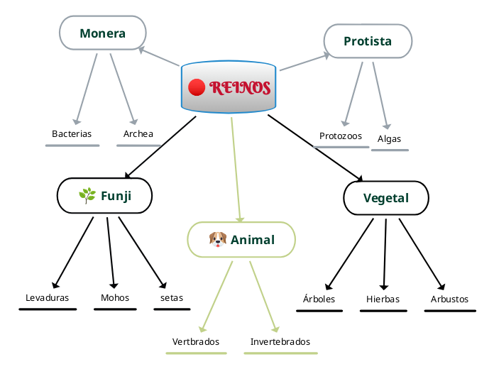 REINOS - Mind Map