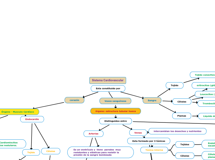 Sistema Cardiovascular - Mind Map