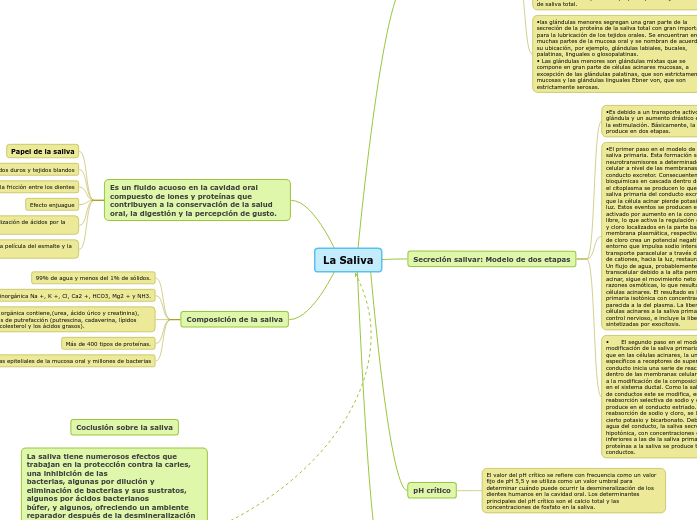 La Saliva - Mind Map