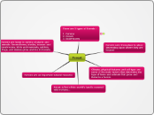 Forest - Mind Map