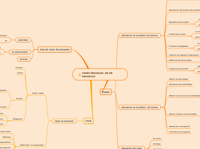 FASES INICIALES DE UN PROYECTO - Mind Map