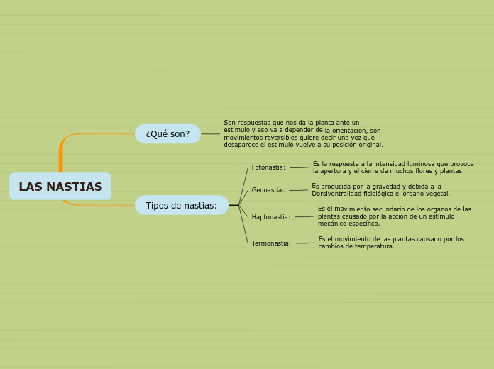 LAS NASTIAS - Mind Map
