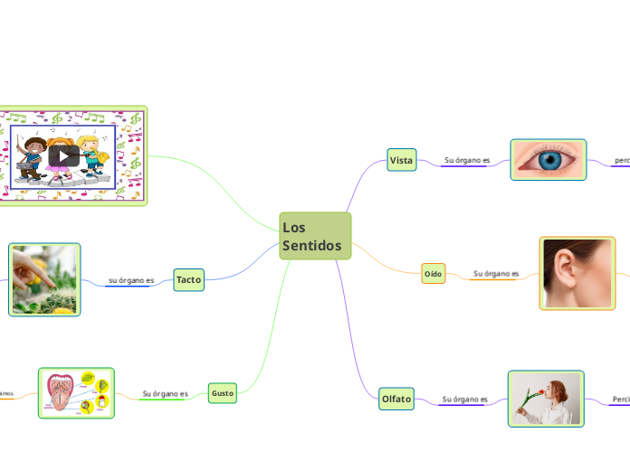 Los Sentidos - Mind Map