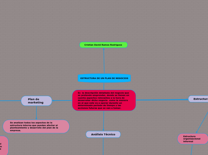 ESTRUCTURA DE UN PLAN DE NEGOCIOS - Mind Map