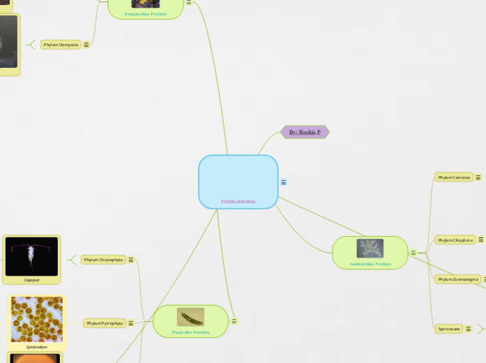 Eukarya - Mind Map