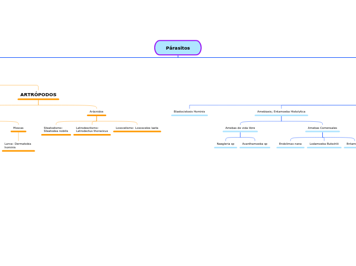 Párasitos - Mind Map