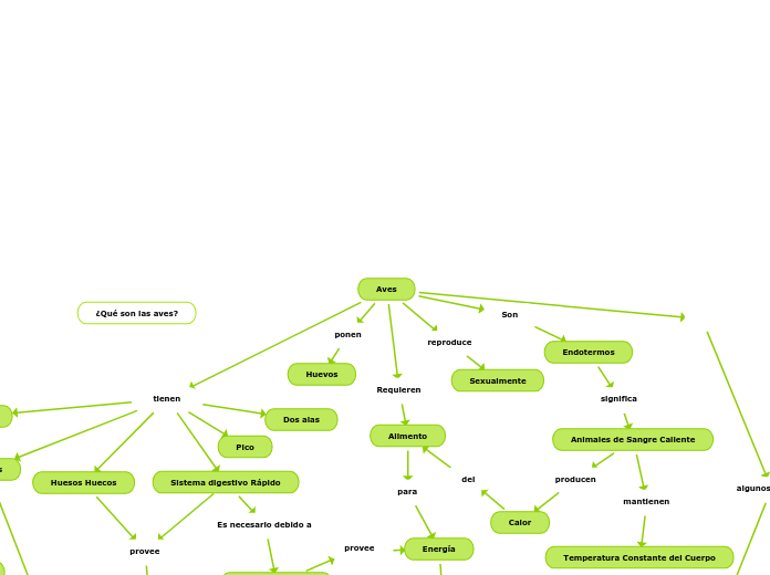 Aves - Mind Map