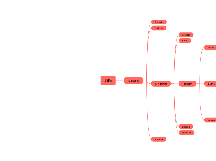 Life - Mind Map