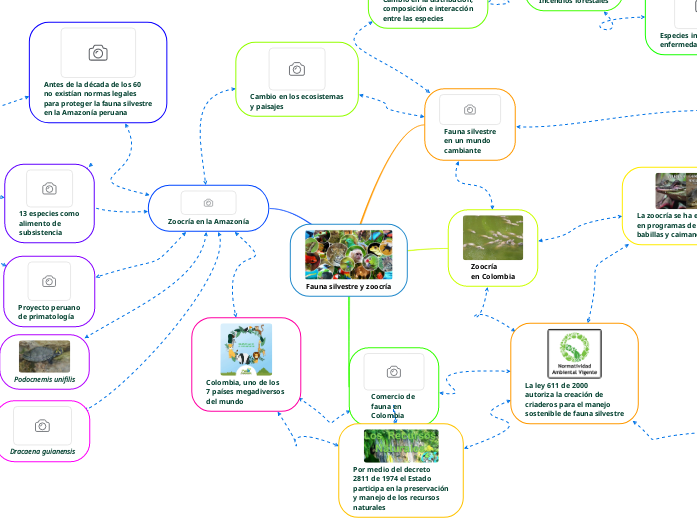 Fauna silvestre y zoocría - Mind Map