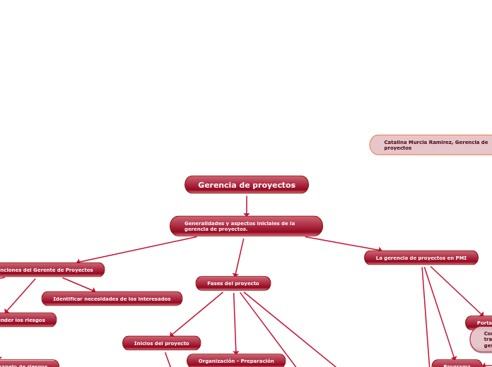 Gerencia de proyectos - Mind Map
