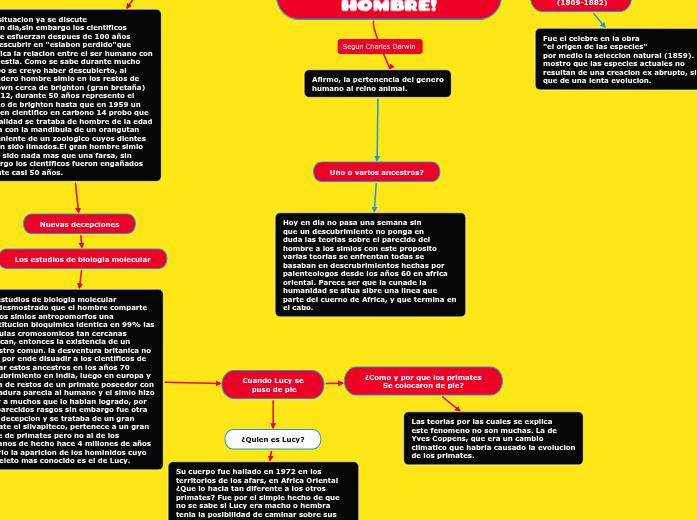 EL ORIGEN DEL HOMBRE! - Mind Map
