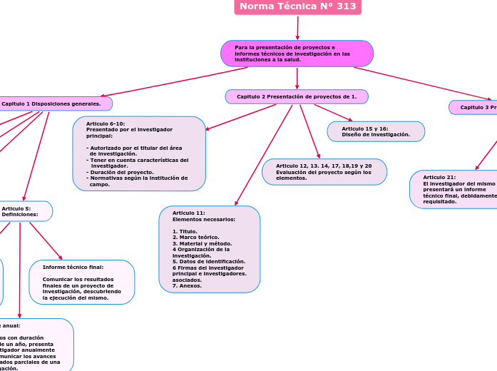 Norma Técnica N° 313 - Mind Map