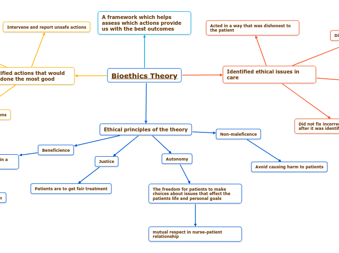 Bioethics Theory - Mind Map