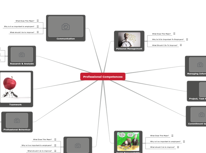 Professional Competences - Mind Map