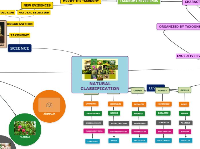 TAXONOMY | Mindomo Mind Map