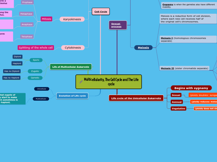 Multicellularity, The Cell Cycle and The L...- Mind Map