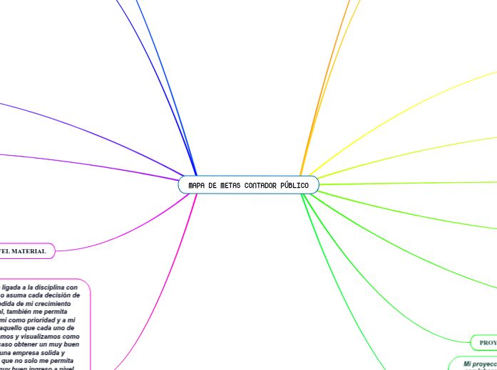 MAPA DE METAS CONTADOR PÚBLICO - Mind Map
