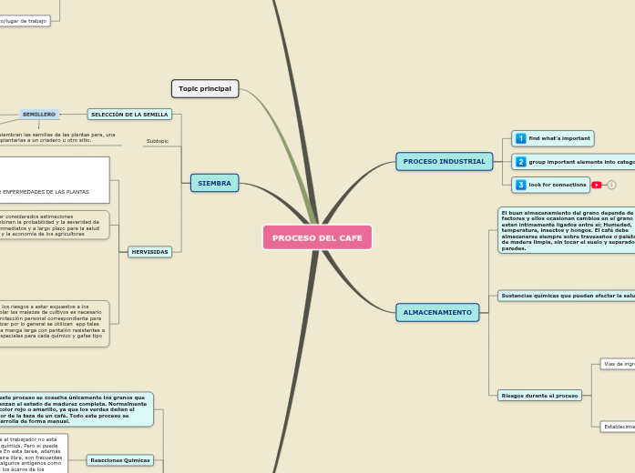 PROCESO DEL CAFE - Mind Map