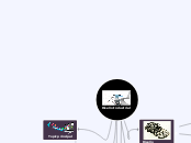 Evidencia_03_E3 - Concept Map