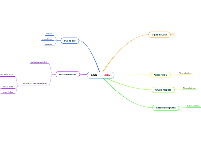ADN ARN - Mind Map