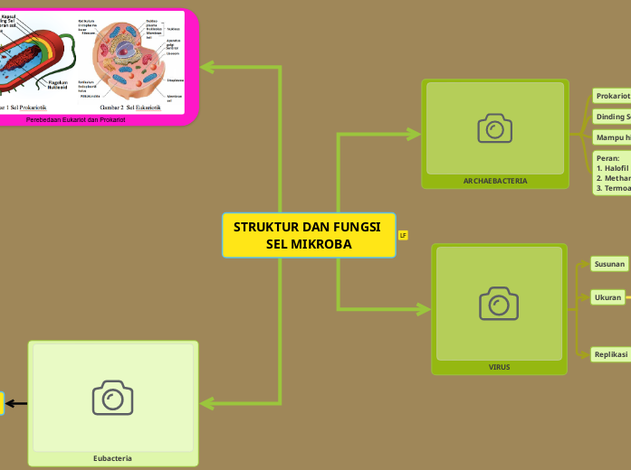 STRUKTUR DAN FUNGSI SEL MIKROBA - Mind Map
