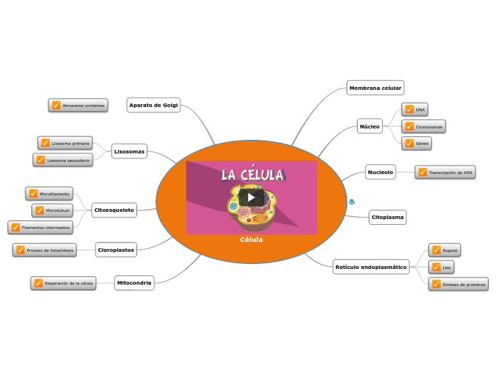 Célula - Mind Map