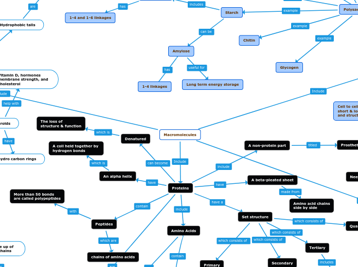 Macromolecules - Mind Map