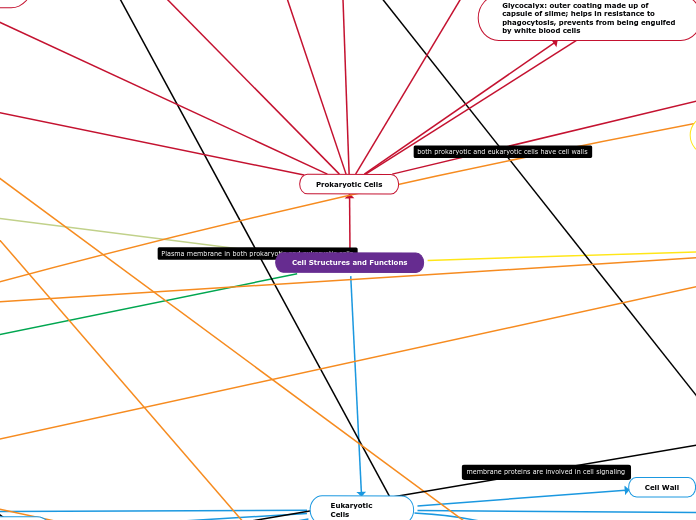 Cell Structures and Functions - Mind Map