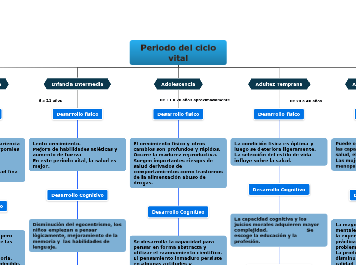 Periodo del ciclo vital - Mind Map