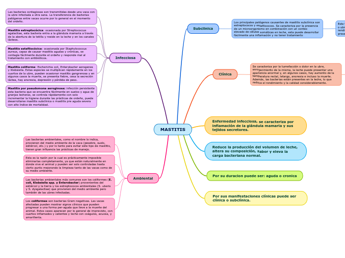 MASTITIS - Mind Map