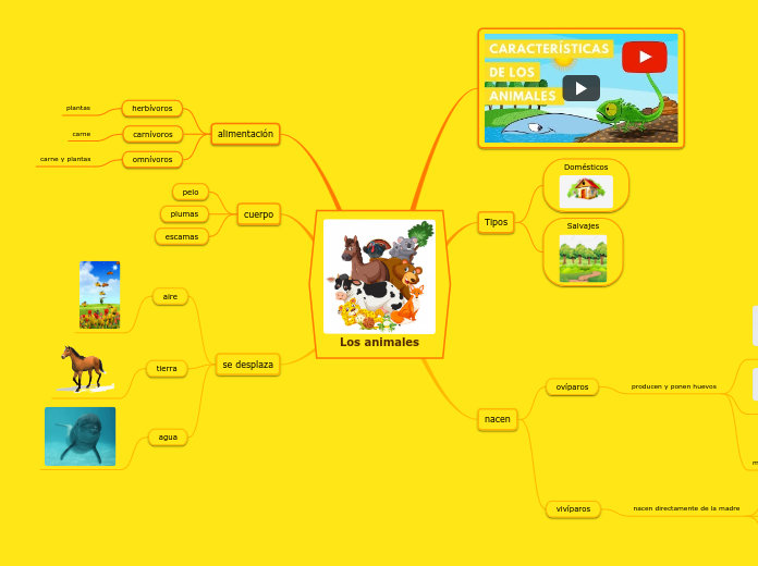 Los animales - Mind Map