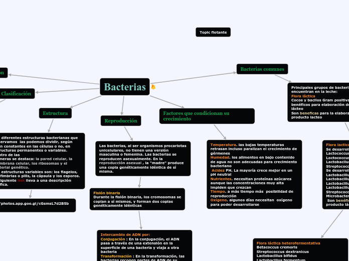 Bacterias - Mind Map