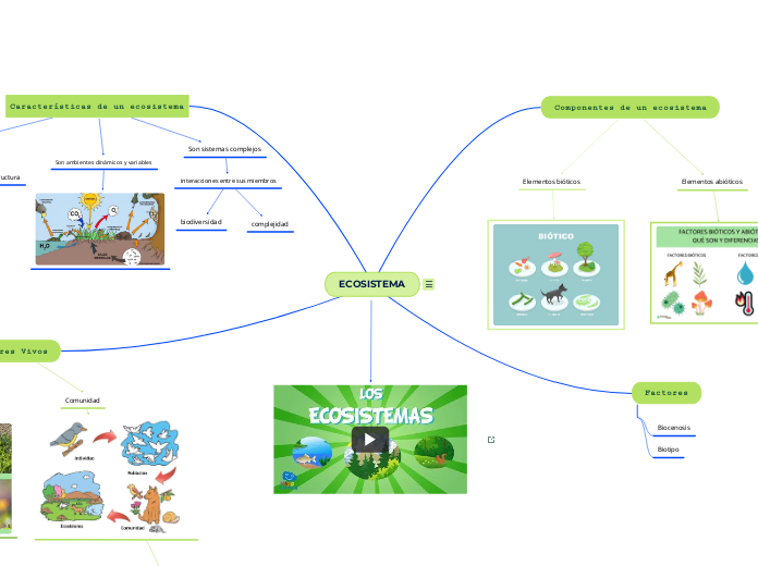 ECOSISTEMA - Mind Map