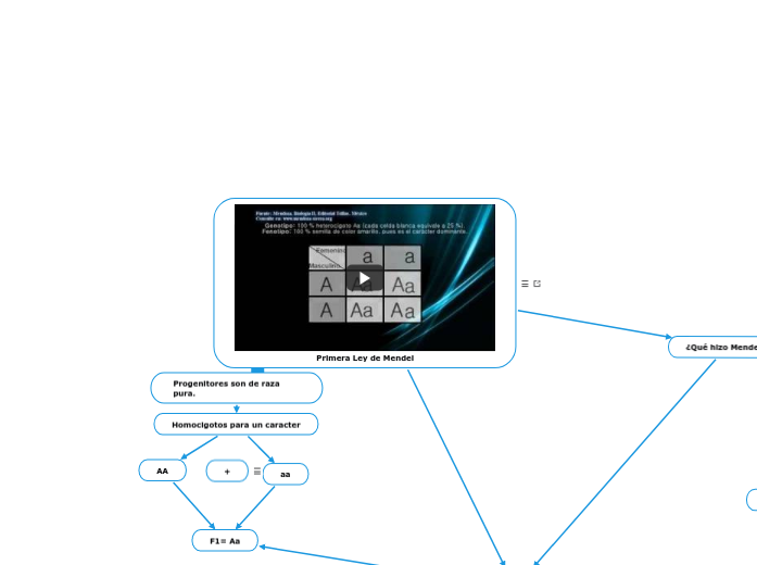 Primera Ley de Mendel - Mind Map