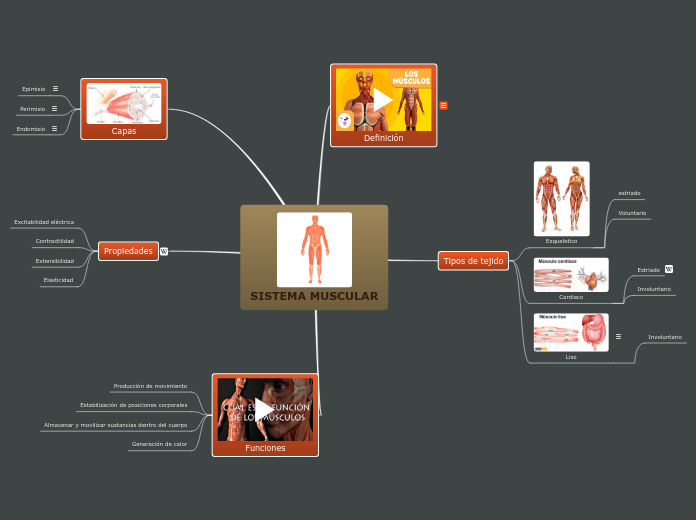 SISTEMA MUSCULAR - Mind Map