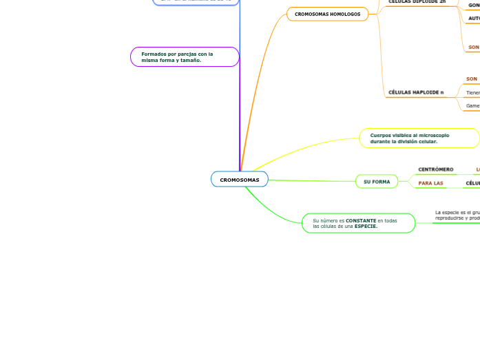CROMOSOMAS - Mind Map