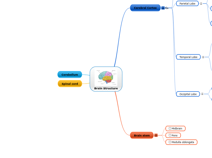Brain Structure - Mind Map