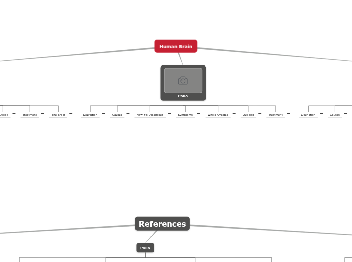Human Brain - Mind Map
