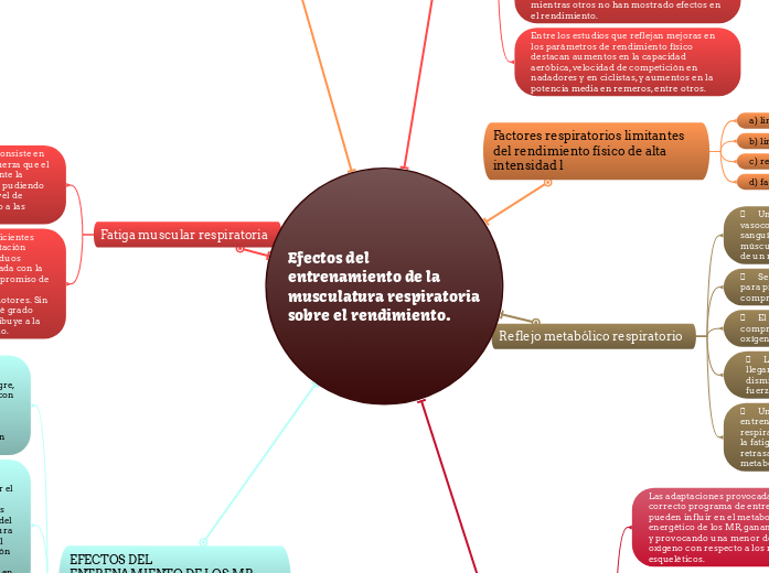 Efectos del entrenamiento de la musculatur...- Mind Map