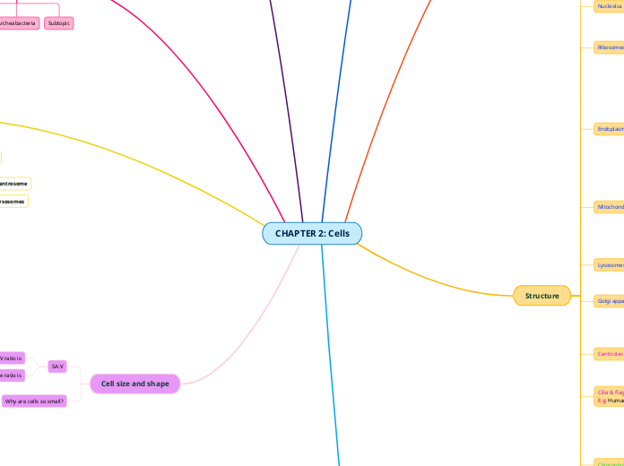 CHAPTER 2: Cells - Mind Map